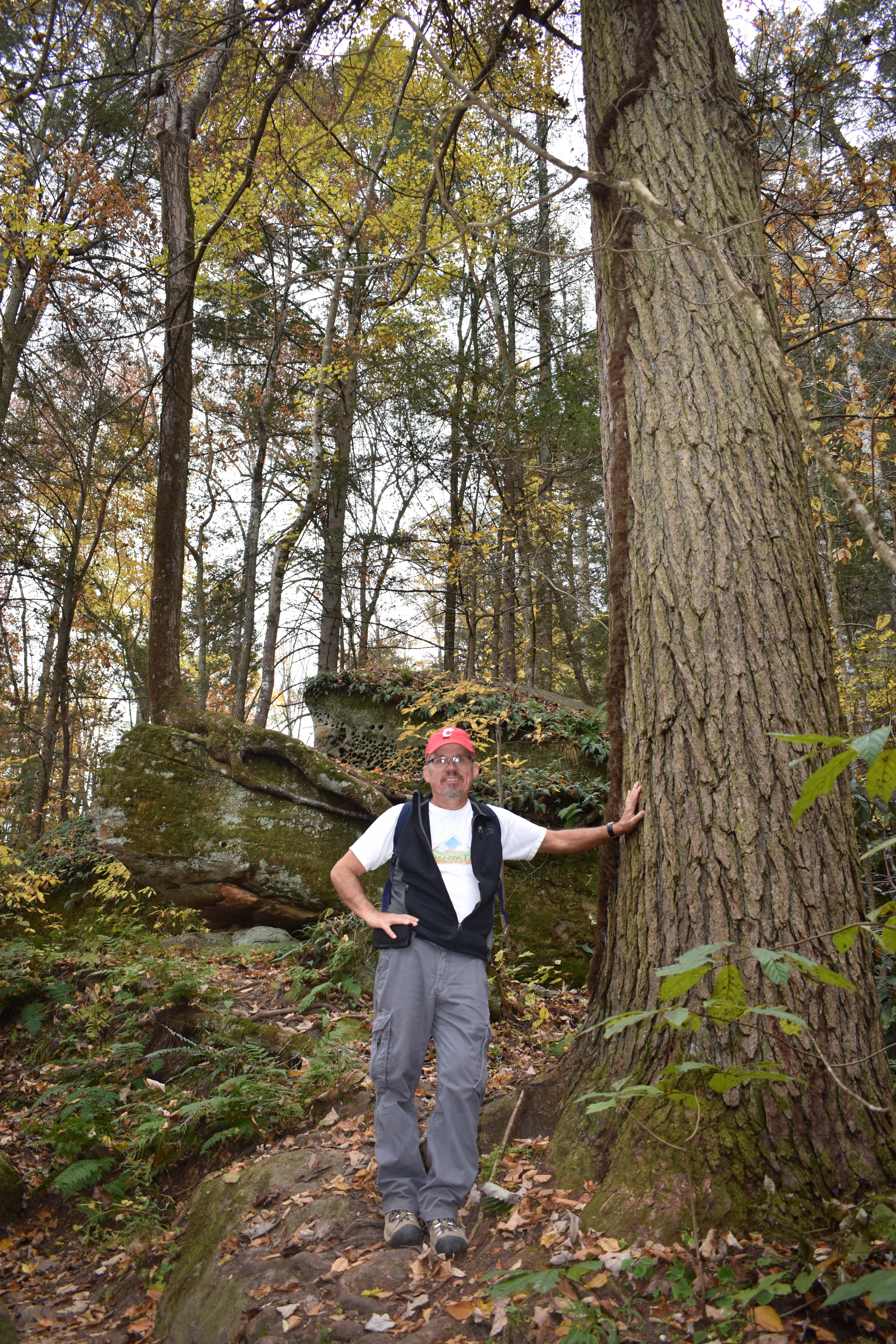 The Original, Laurel Ridge, and Balanced Rock Trails, Natural Bridge ...