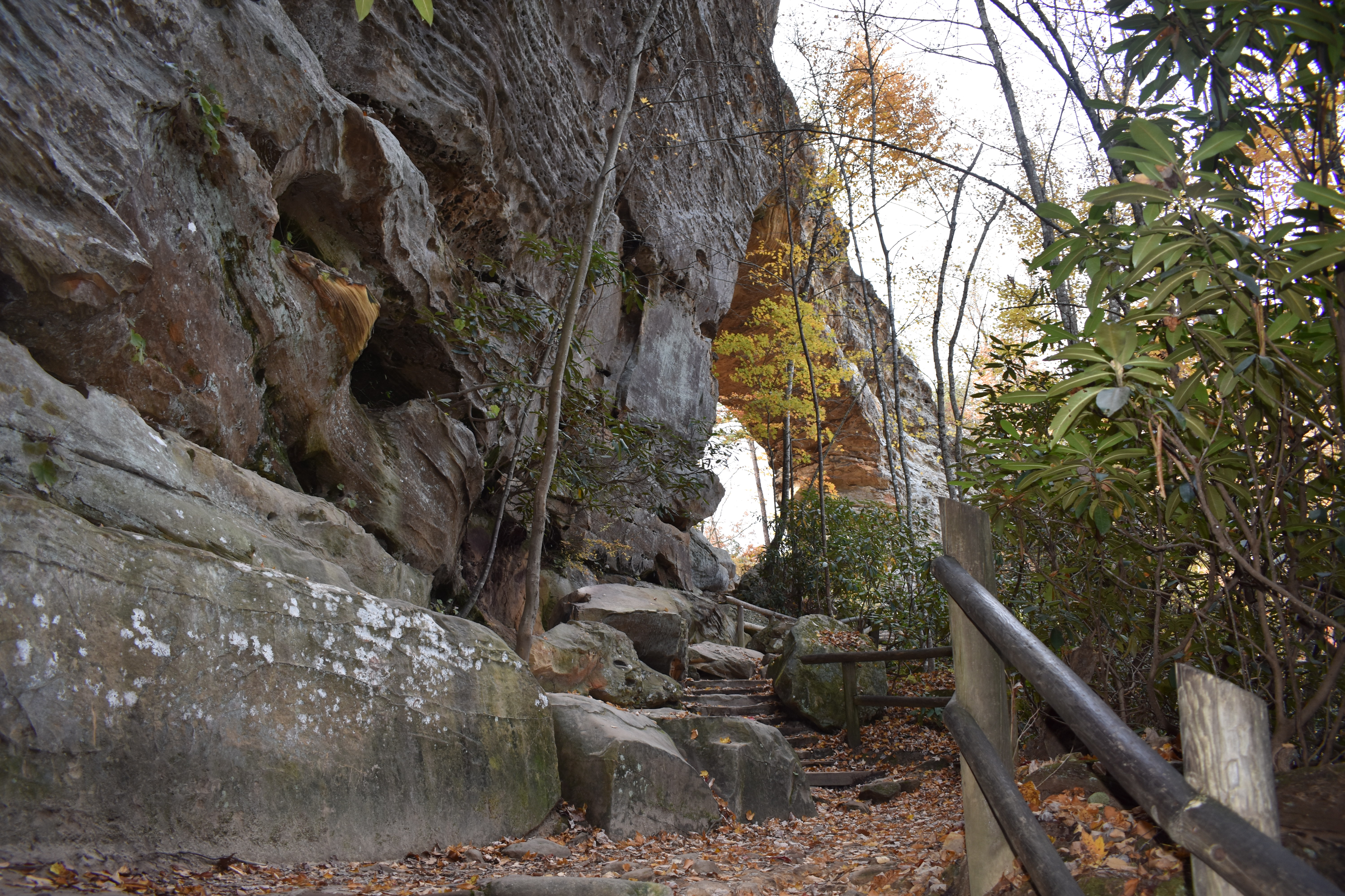 The Original, Laurel Ridge, and Balanced Rock Trails, Natural Bridge ...