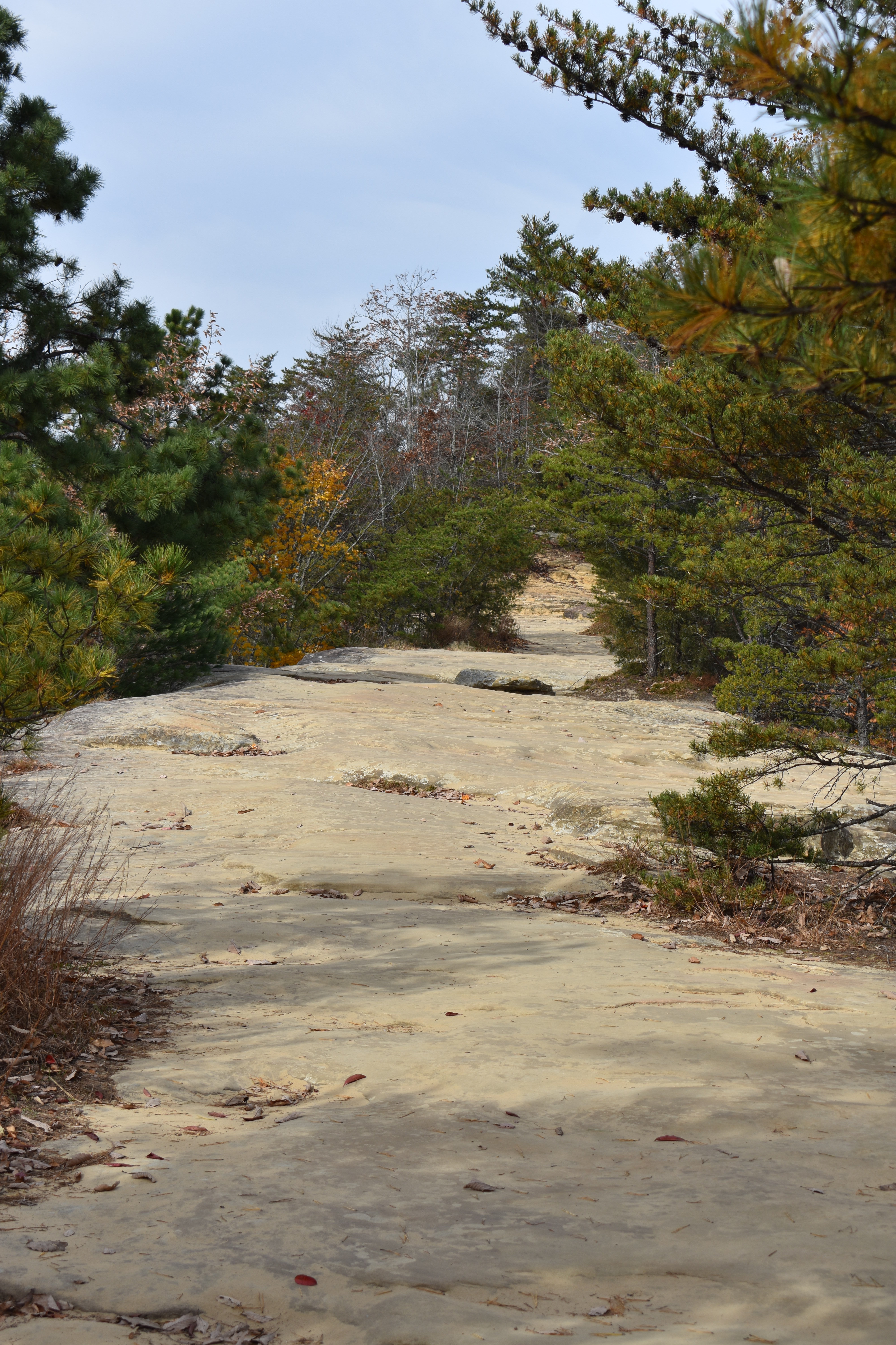 The Original, Laurel Ridge, and Balanced Rock Trails, Natural Bridge ...