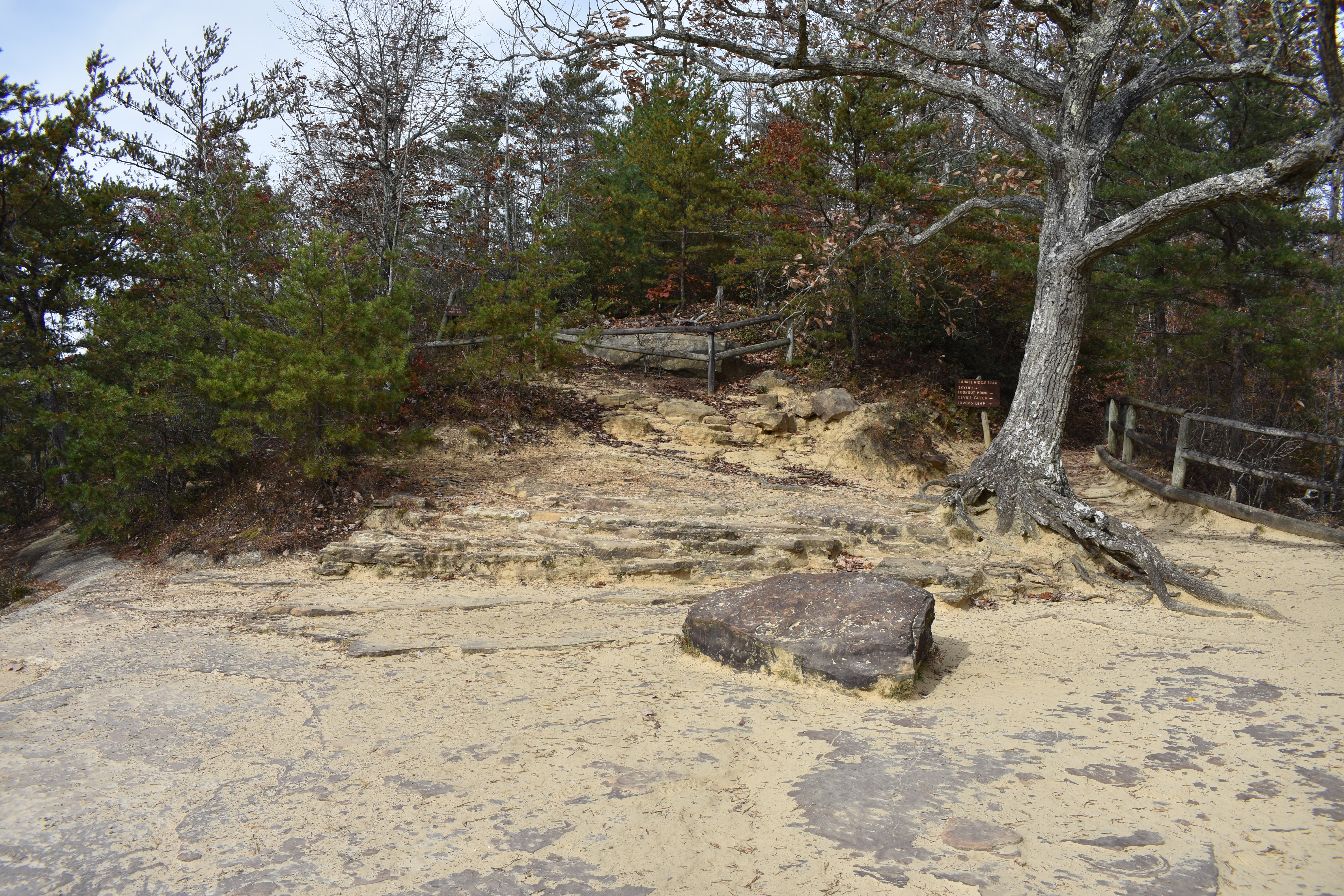 The Original, Laurel Ridge, and Balanced Rock Trails, Natural Bridge ...